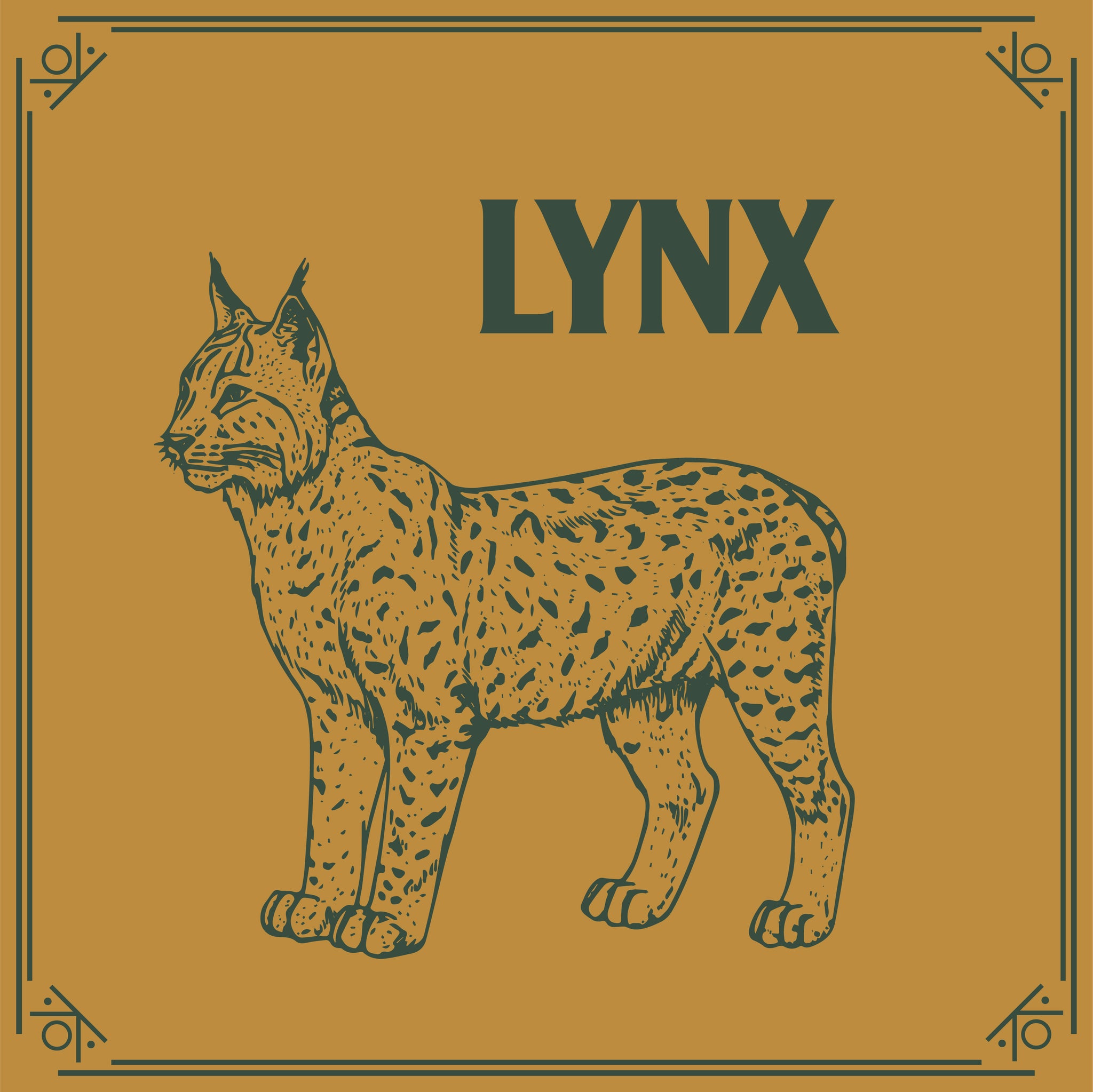 LYNX